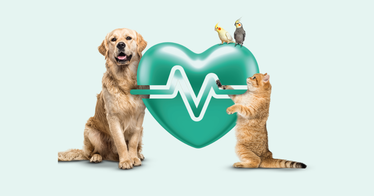 Delisted outdoor products | VetaPet